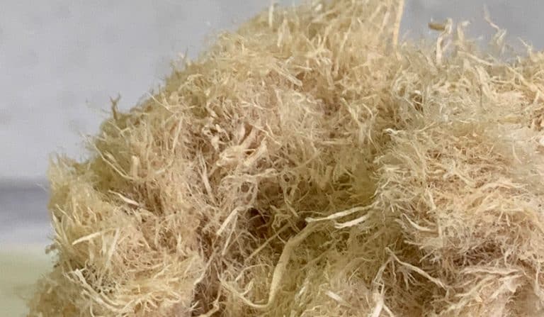 Isolution-eco-construction creator and distributor of eco-sustainable insulation solutions ...